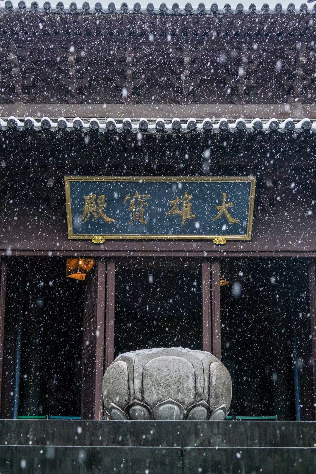 2024年的第一场雪-杭州 - SaiitaのBlog